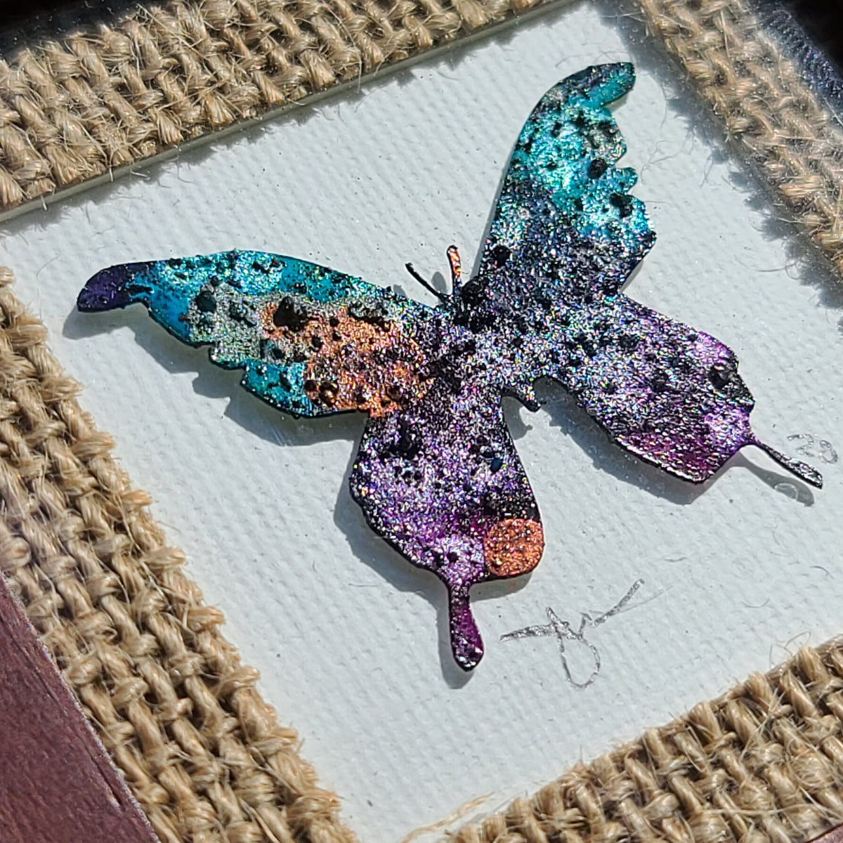 'Cooley's False Buttercup Butterfly'-Sourdough Rum Coddiwomple 4"x4 ...